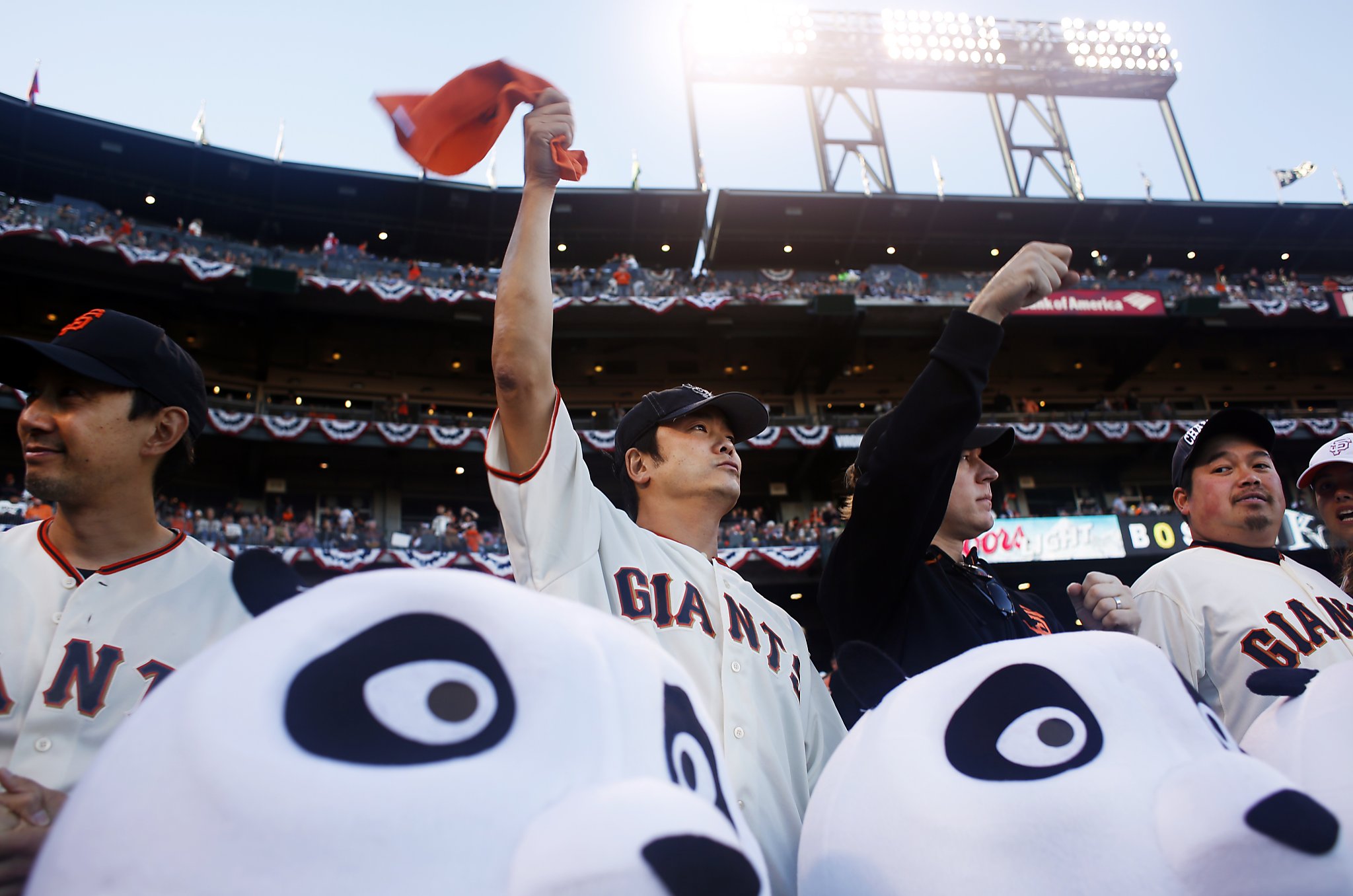 Fan watching at the World Series