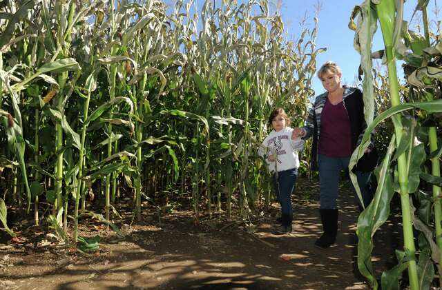 The 7-acre maize maze opens Saturday in Newtown