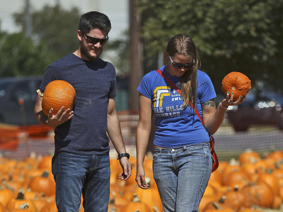 Here's where to find pumpkin patches in San Antonio this fall