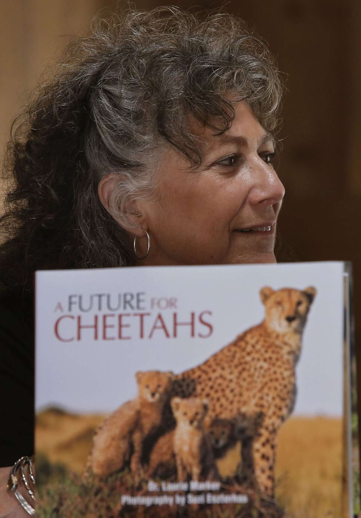 How a Napa winemaker became one of the world’s top cheetah experts