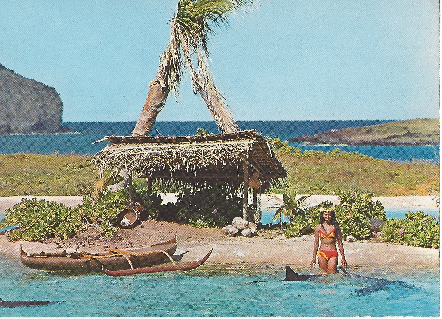 Hawaii: 50th state's icons turning 50