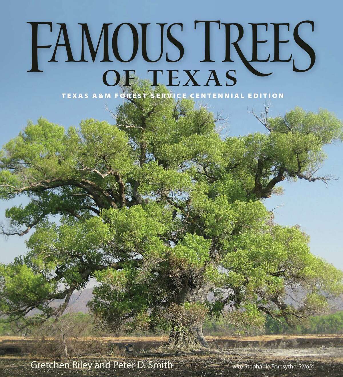 The secrets of Texas history told through its famous trees