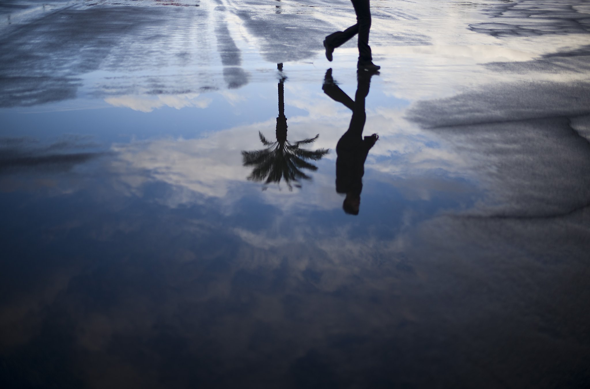 Photos of the Day - SFGATE