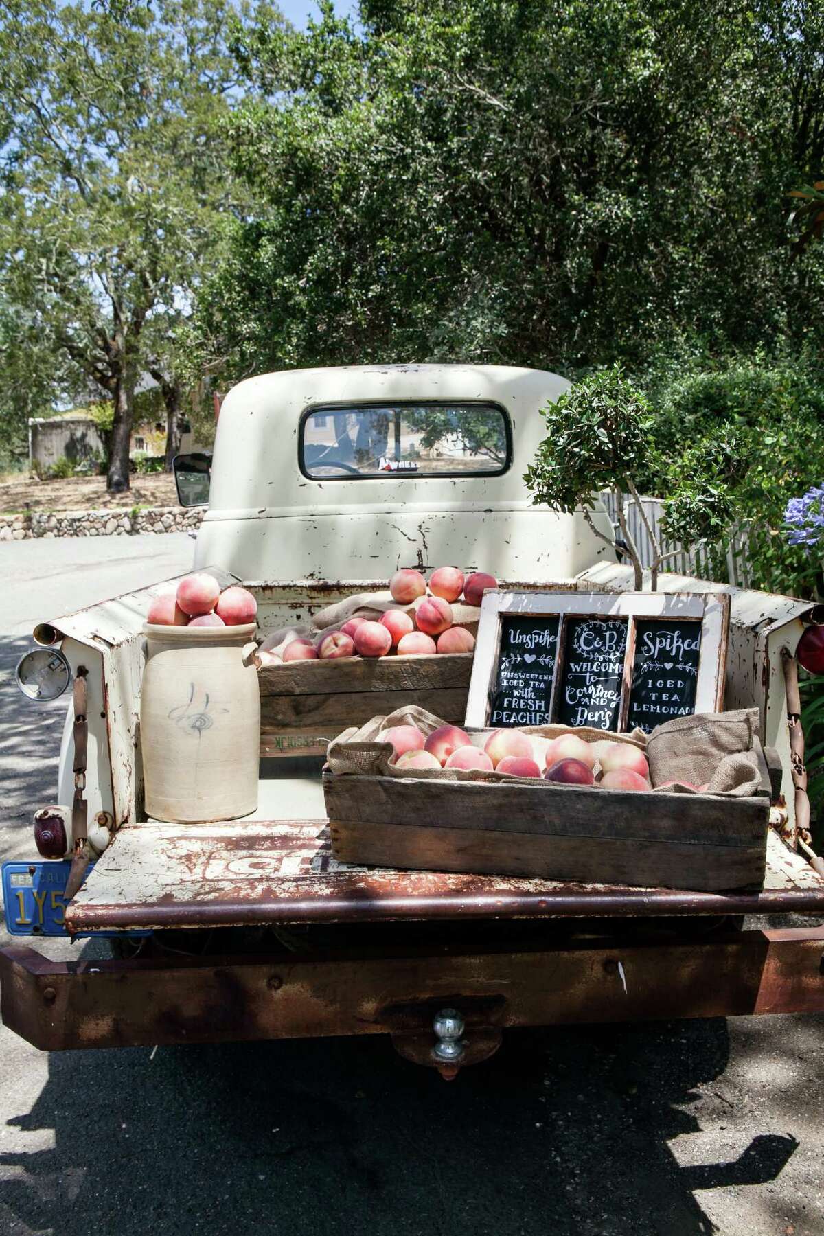 Wine Country wedding charms guests at rustic Beltane Ranch