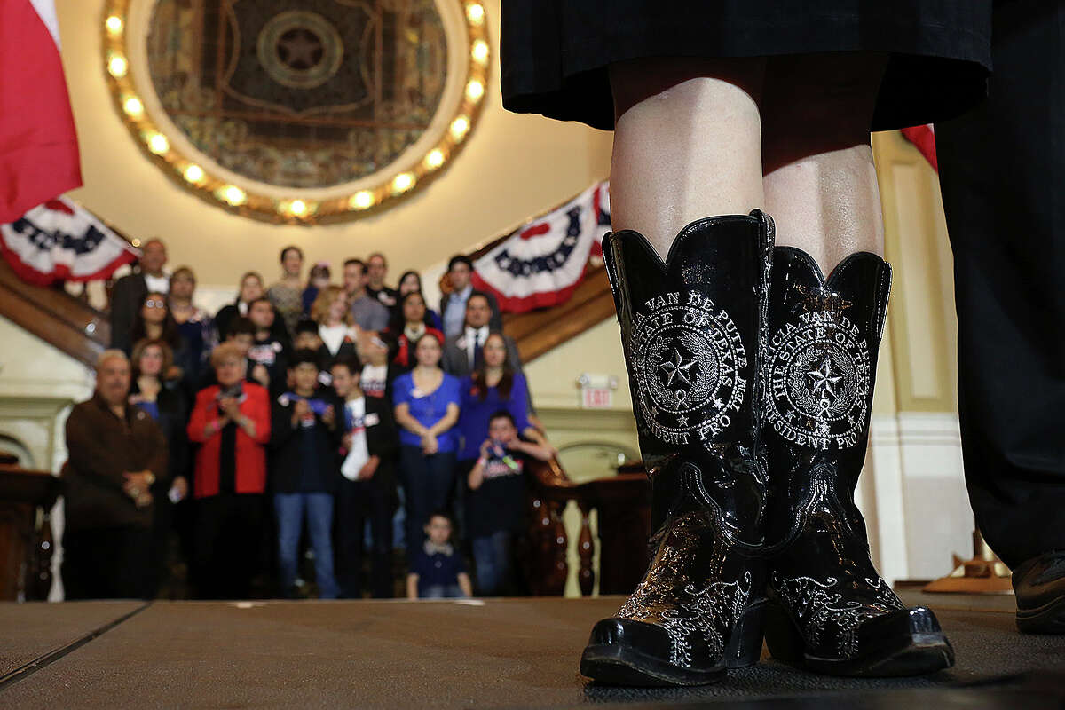 Dan Patrick handily wins over Van de Putte