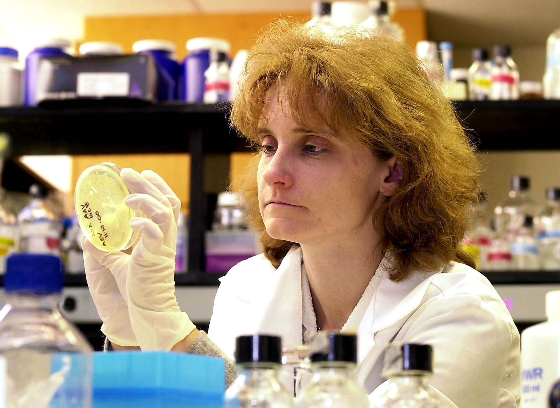 UT nasal spray vaccine for Ebola effective in monkeys