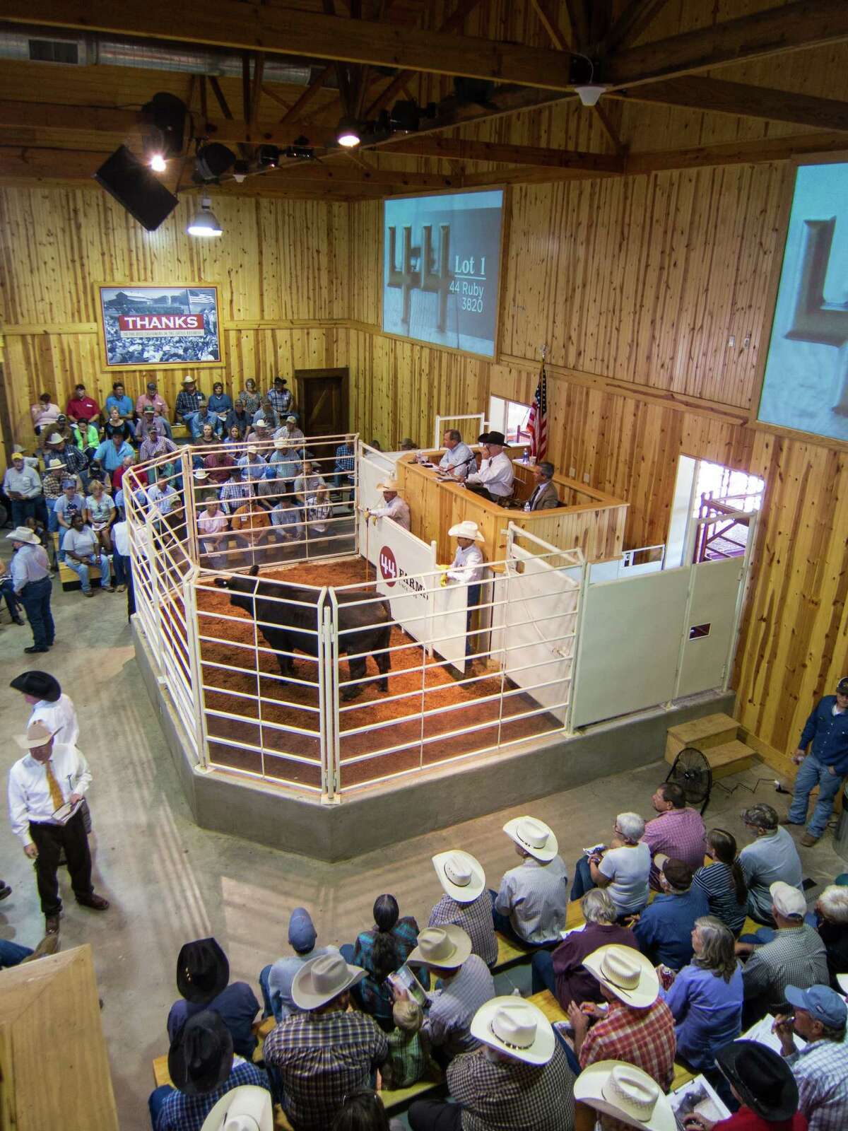 Adapt or die: A central Texas cattle ranch changes with the times