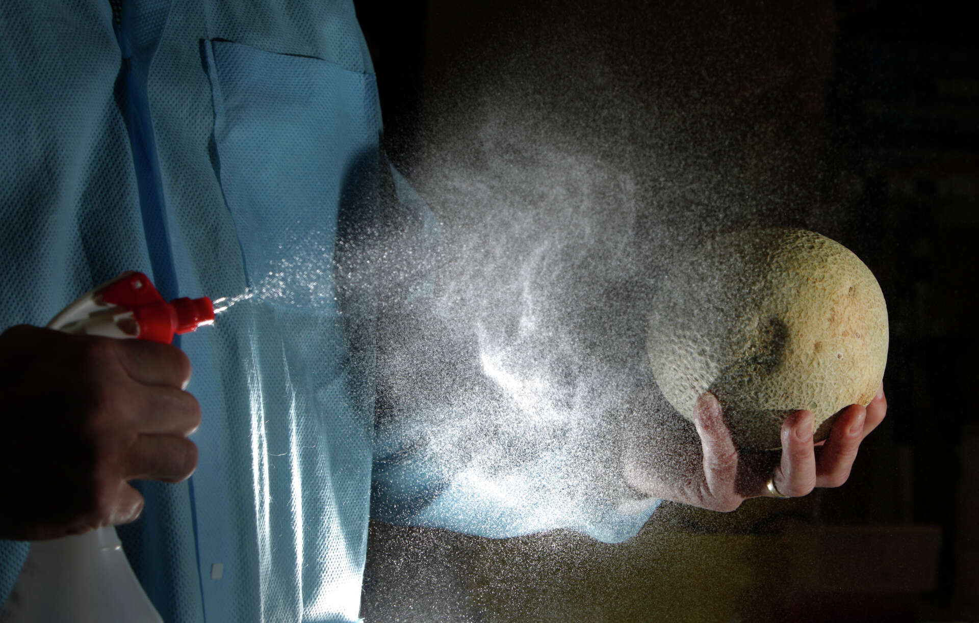 Spray-on DNA bar codes could be new weapon against food-borne illnesses