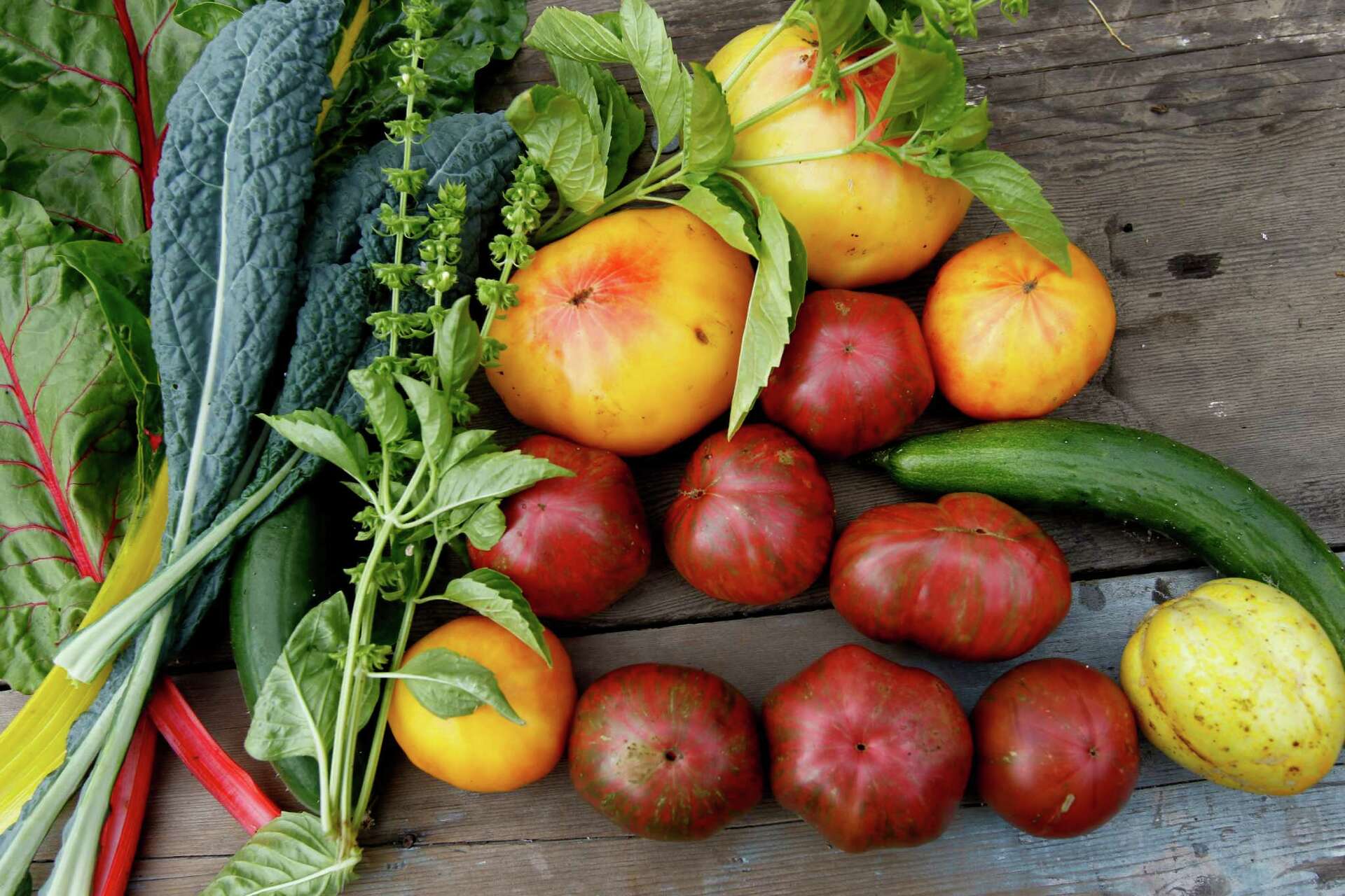 Kate Frey creates pollinator gardens for all seasons