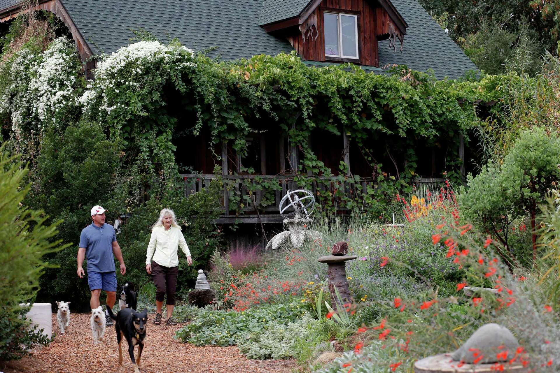 Kate Frey creates pollinator gardens for all seasons