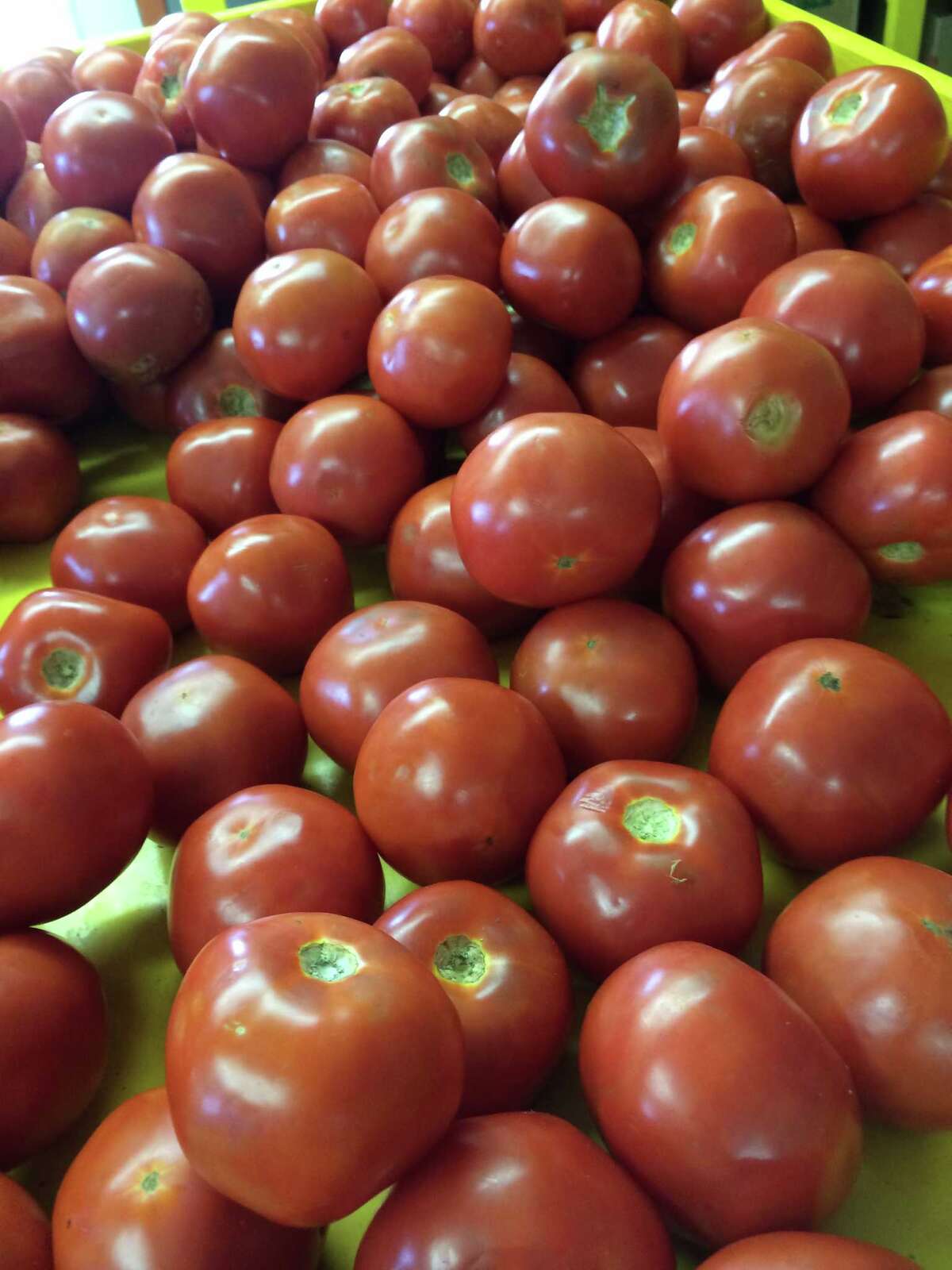 Farm profile: Atkinson Farms