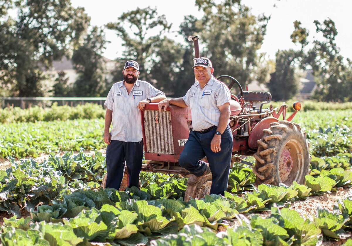 Farm profile: Atkinson Farms