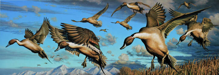 Outdoors: Da Vinci of duck stamps recreates magical moments