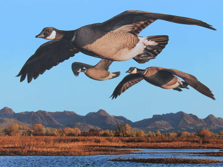 Outdoors: Da Vinci of duck stamps recreates magical moments