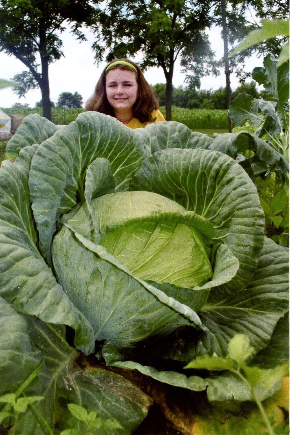 Giant cabbage growing competition introduces kids to gardening and ...