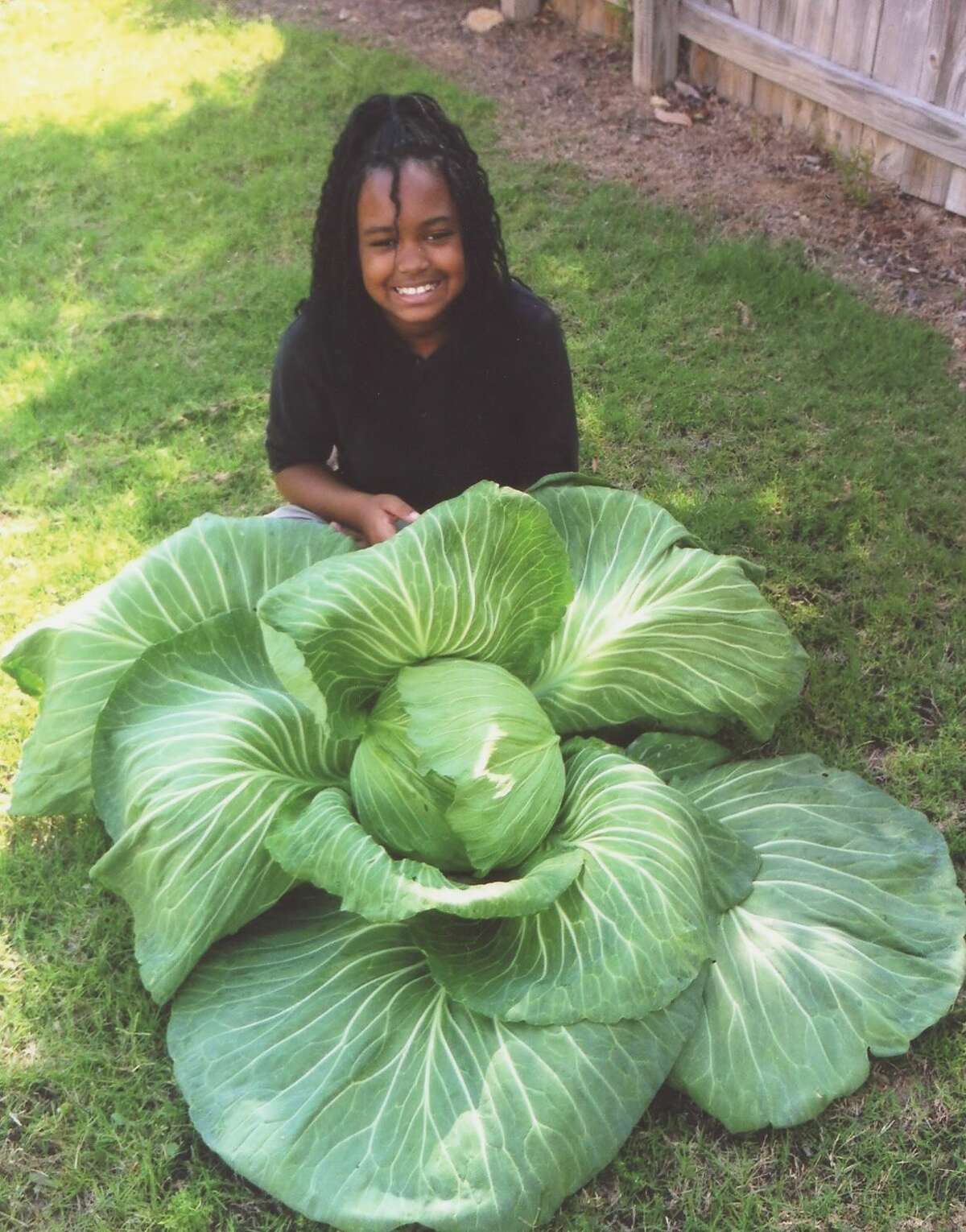 Giant cabbage growing competition introduces kids to gardening and ...