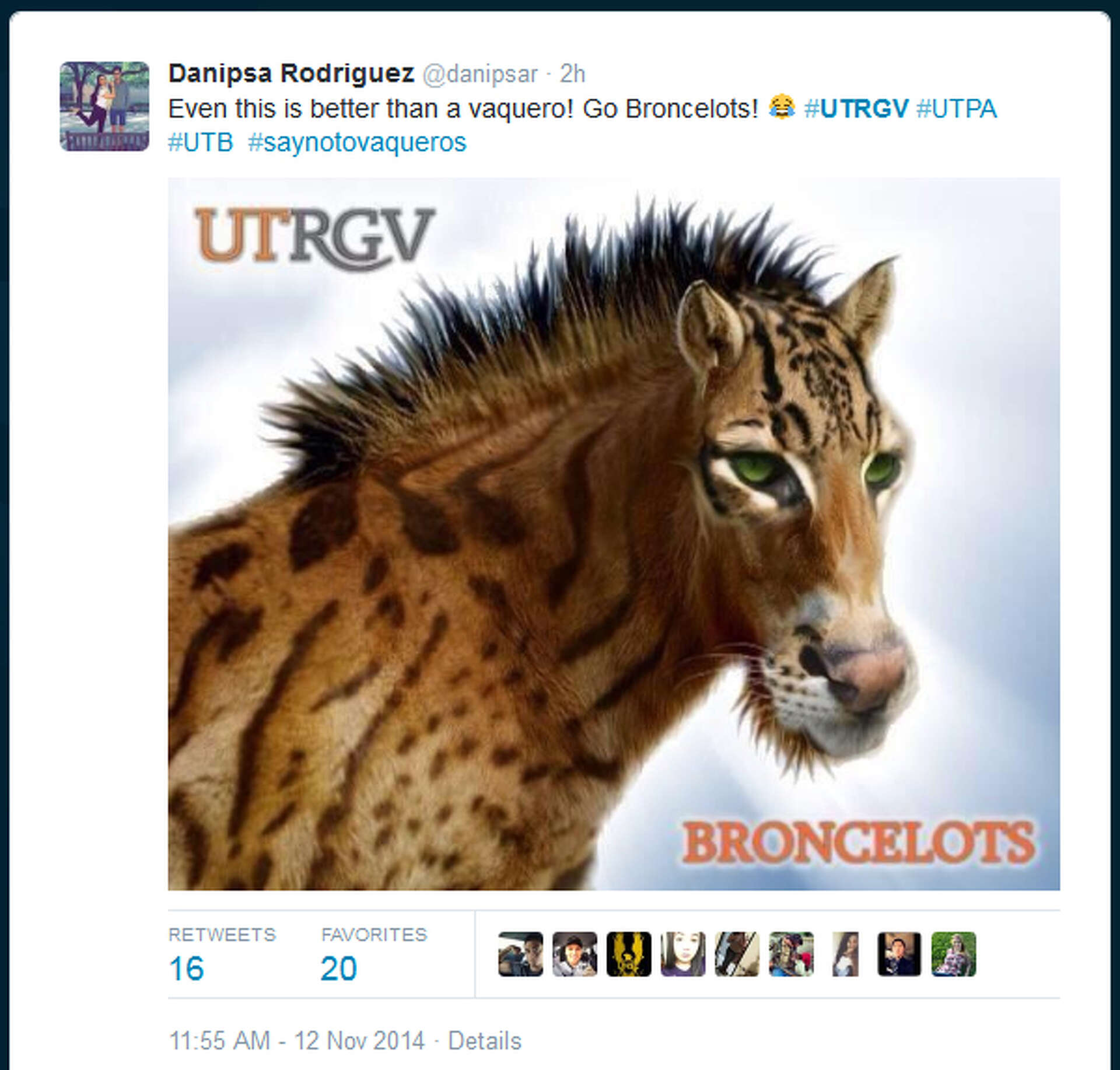 Vaquero approved as UT-RGV mascot despite objections