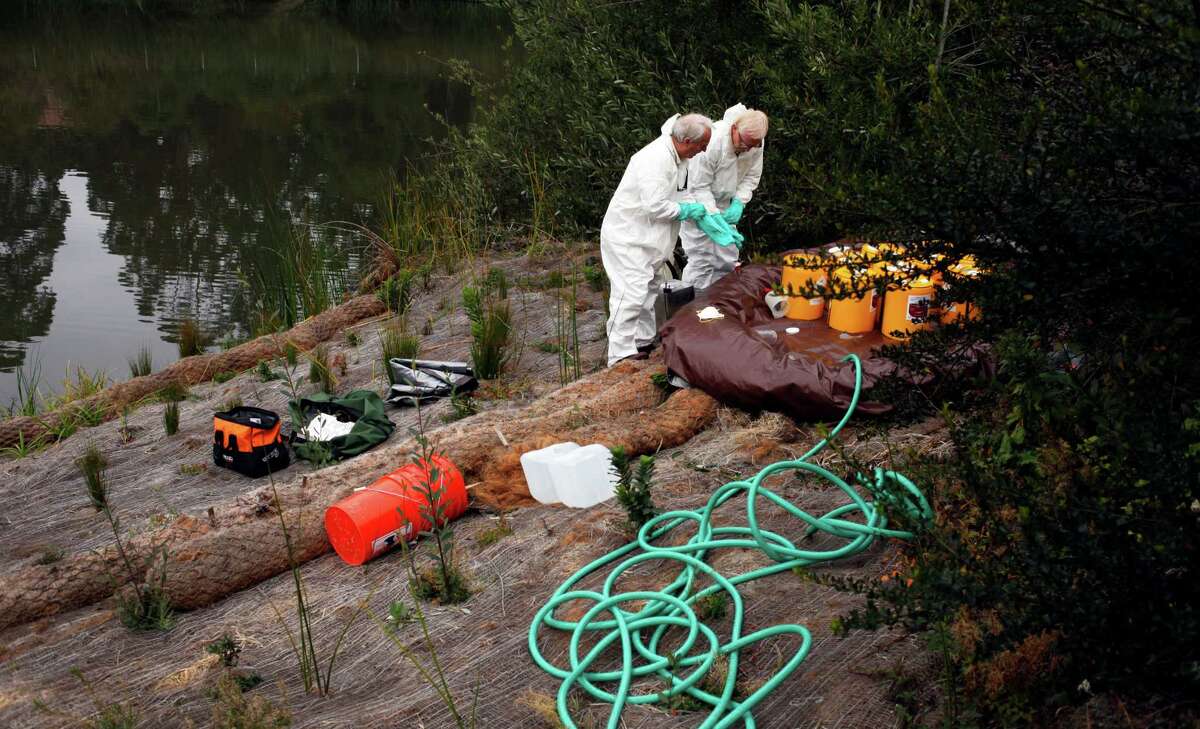Alien fish poisoned by the thousands to save S.F.’s Mountain Lake