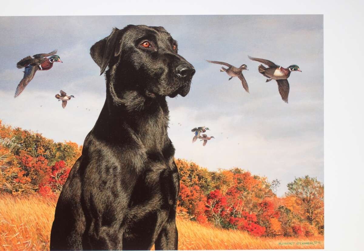 Outdoors: Da Vinci of duck stamps recreates magical moments
