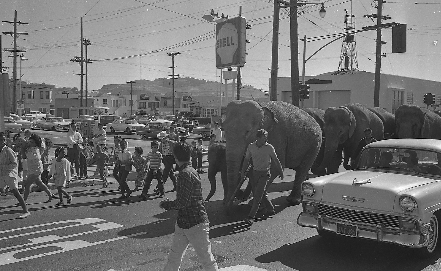 The circus comes to town: historic Bay Area circus photos