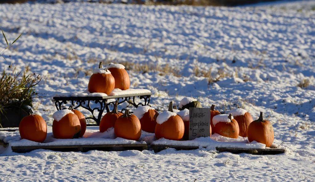 First snow and cold ... then more snow