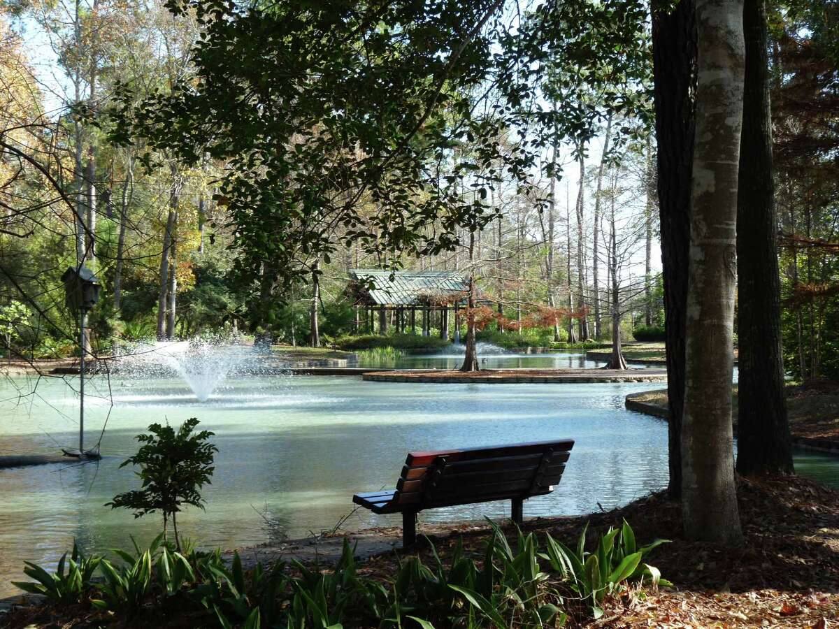 See nature at its best at Mercer