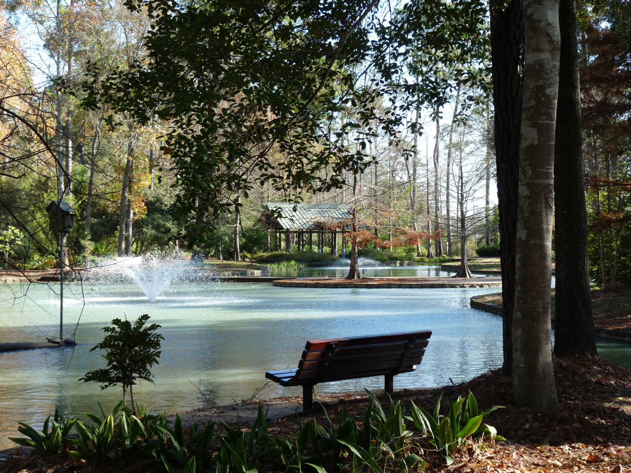 See nature at its best at Mercer