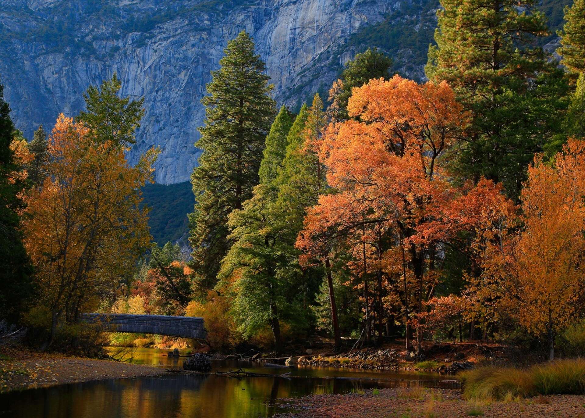 Fall foliage map predicts when the leaves will change and where