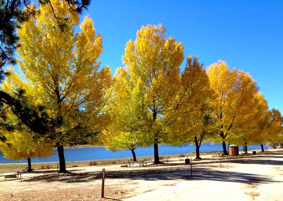 Fall foliage map predicts when the leaves will change and where