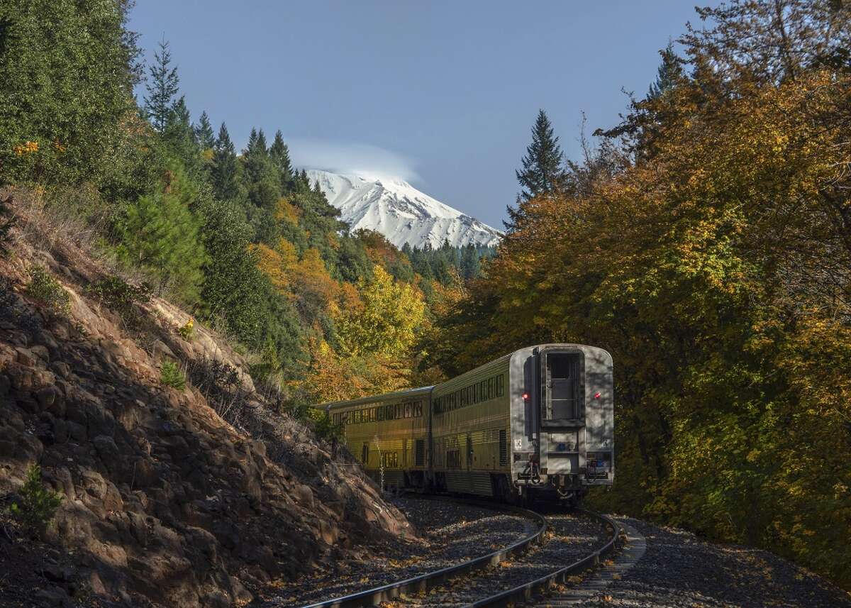 Fall foliage map predicts when the leaves will change and where