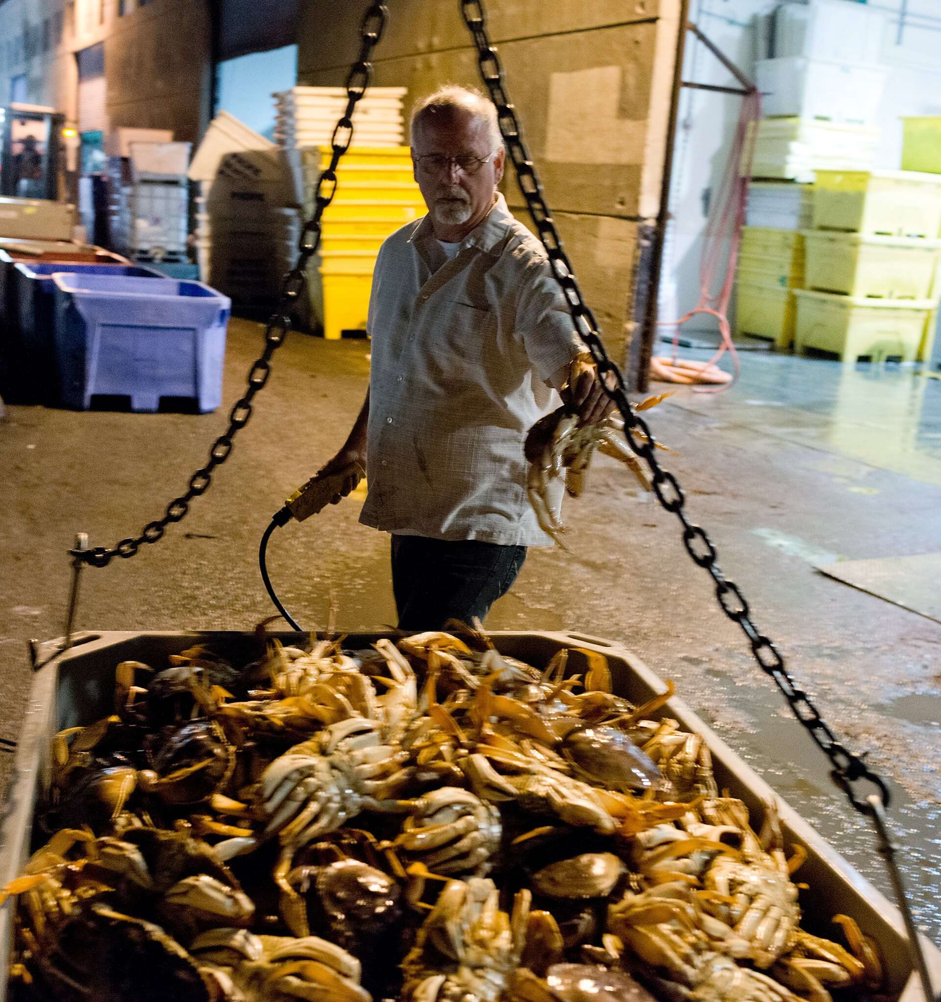 Commercial crab season kicks off; let the holidays commence