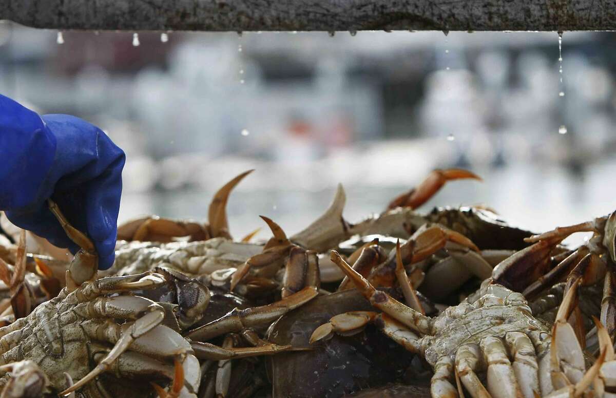 Commercial crab season kicks off; let the holidays commence