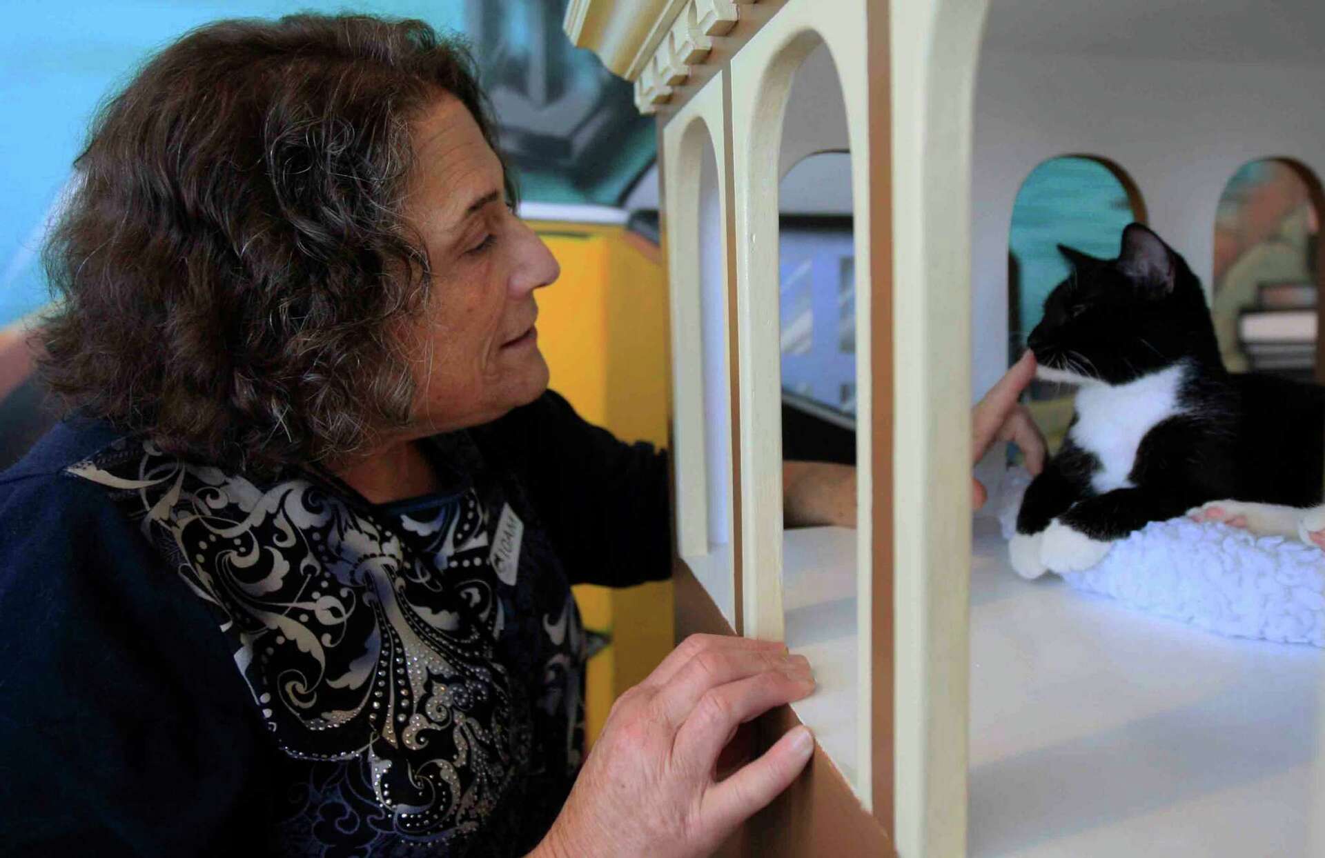 Oakland’s Cat Town Cafe a creative, humane space for adoption