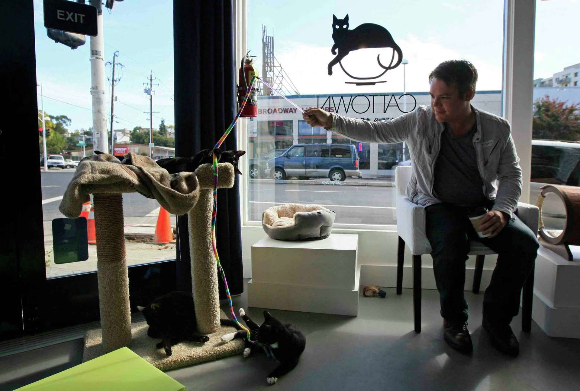 Oakland’s Cat Town Cafe a creative, humane space for adoption