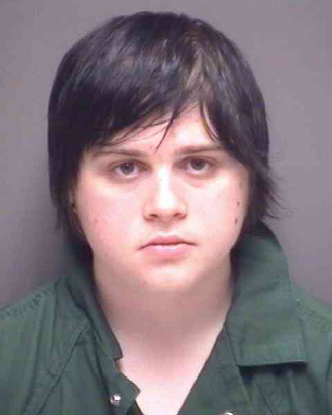 Texas teen arrested for allegedly stabbing woman feeding stray cats