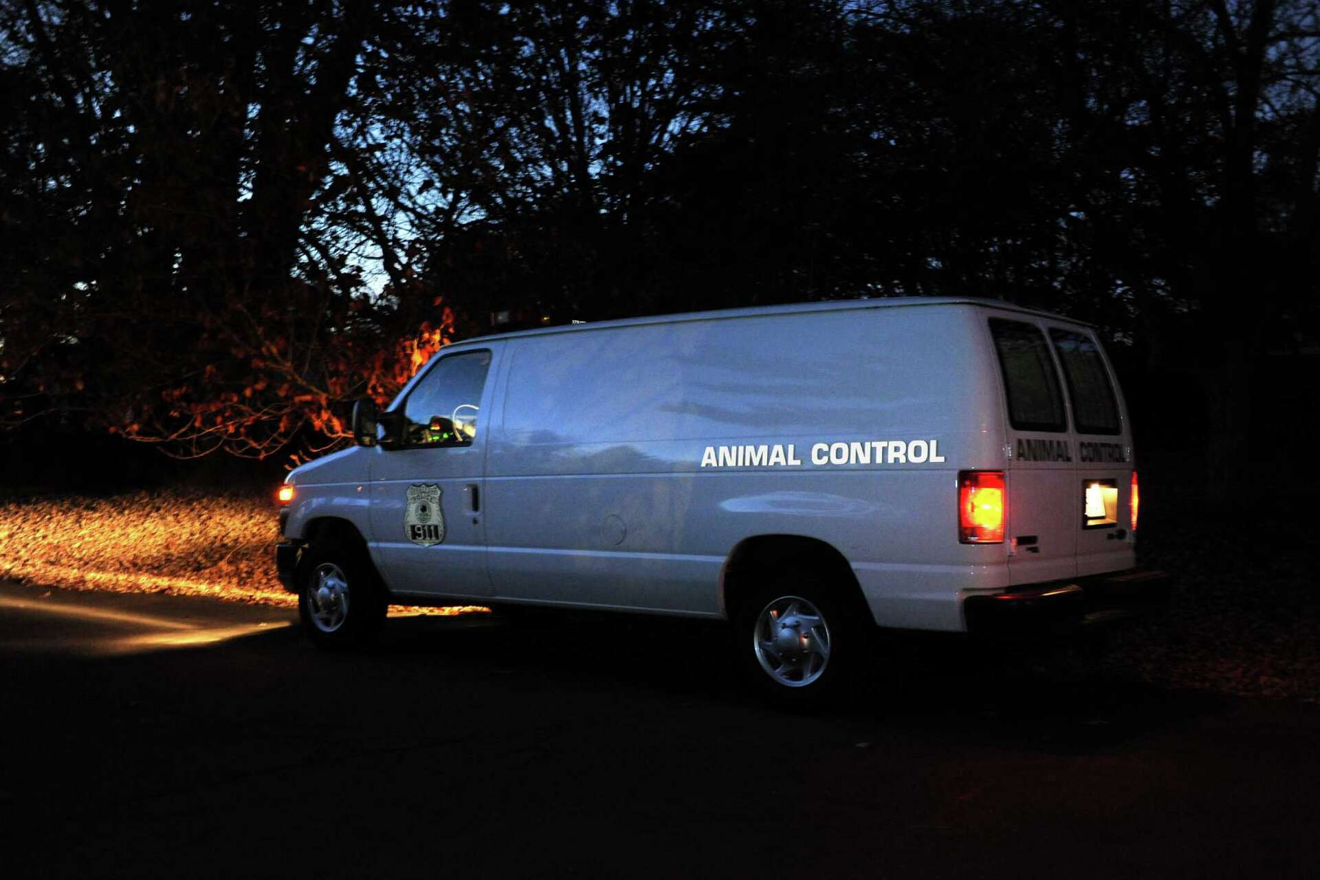 Stratford man arrested on animal cruelty charge, police say