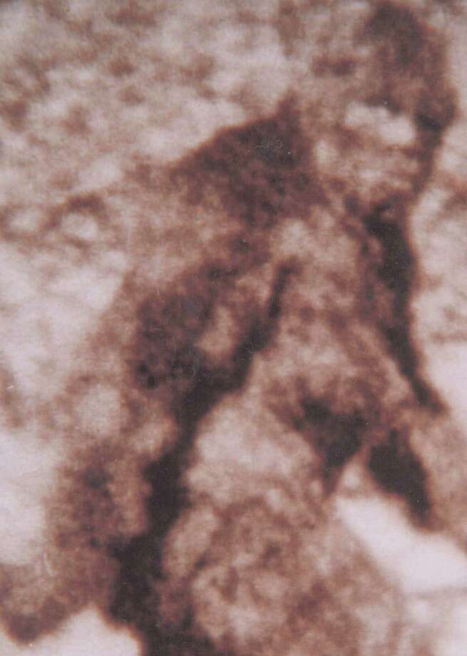 Photos: Bigfoot sightings over the years - San Antonio Express-News