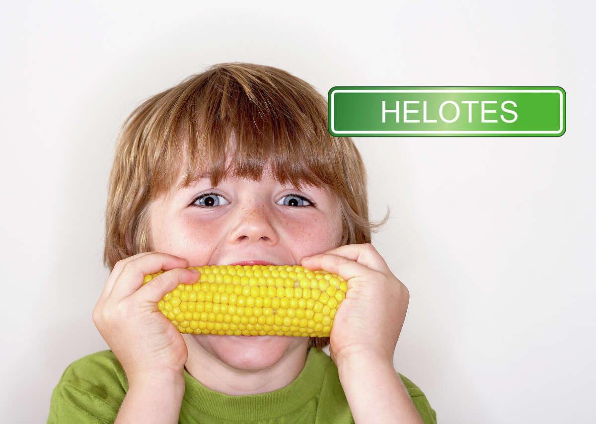 19 literal translations of Bexar County locations