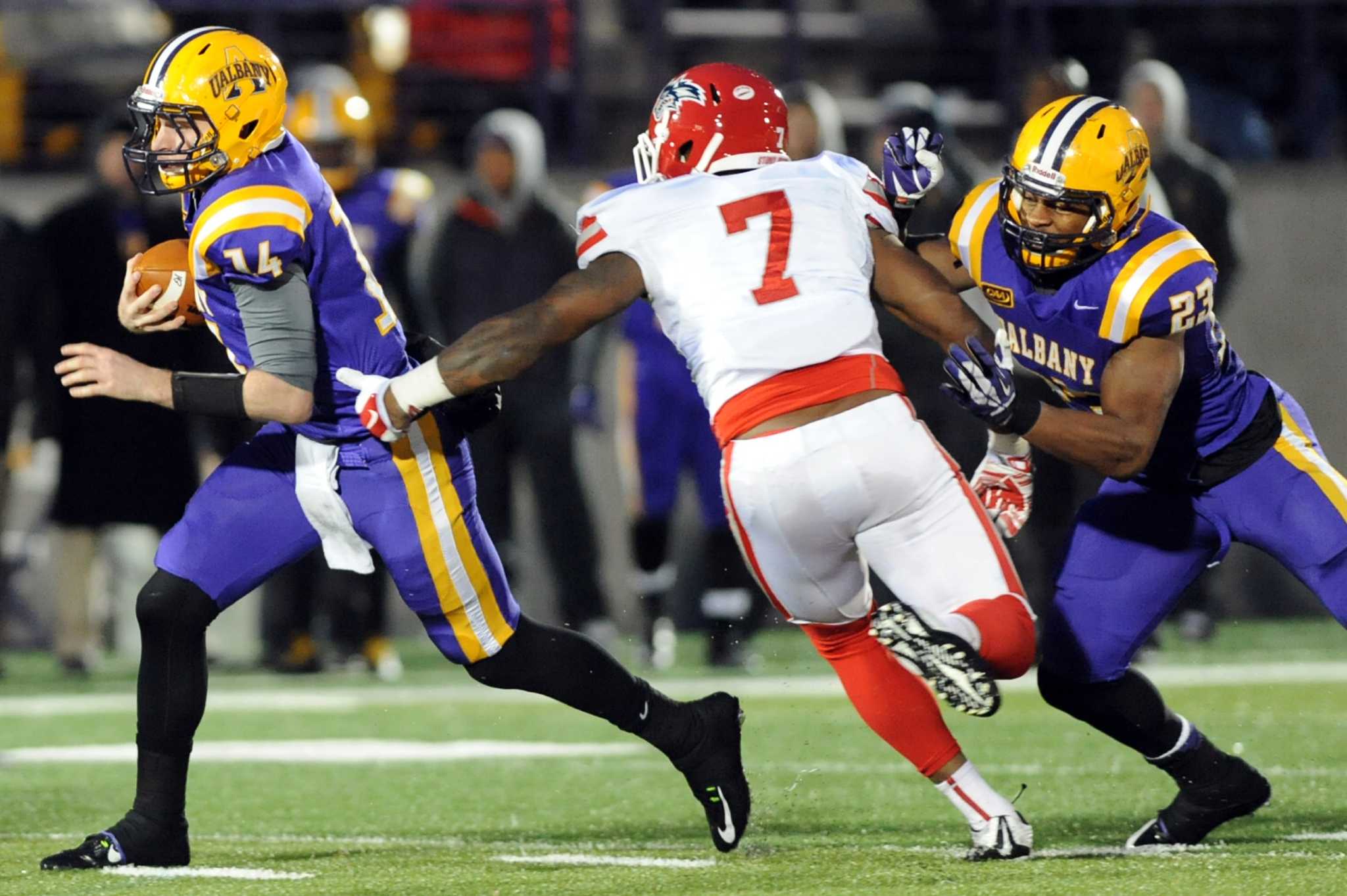 Danes end season on high note