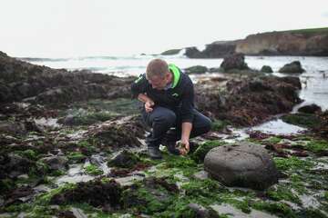 Aubergine chef Justin Cogley forages for flavors in Monterey Bay