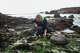 Aubergine chef Justin Cogley forages for flavors in Monterey Bay