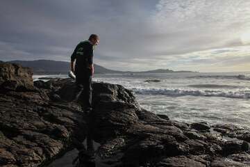 Aubergine chef Justin Cogley forages for flavors in Monterey Bay