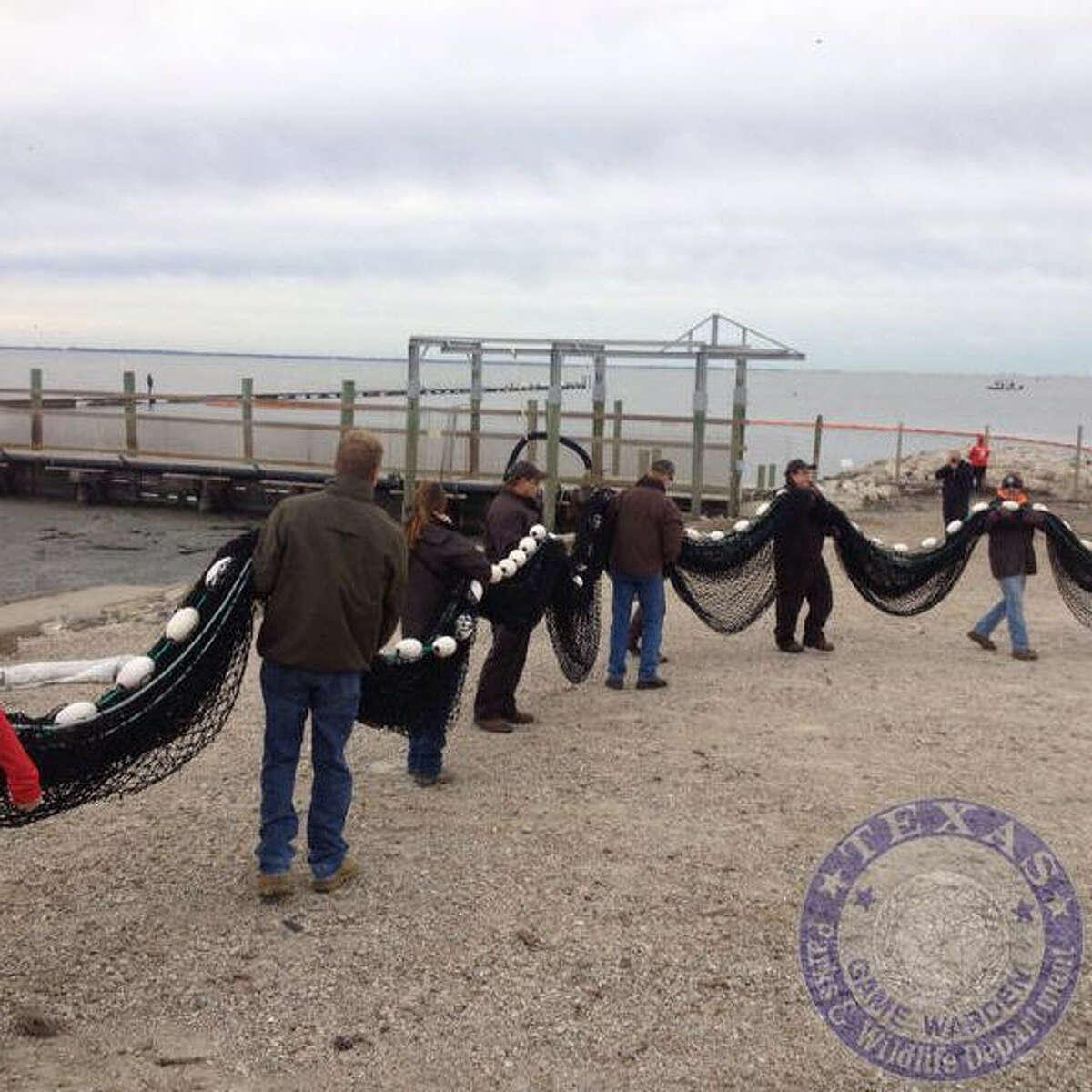 S.A. now home to rescued manatee