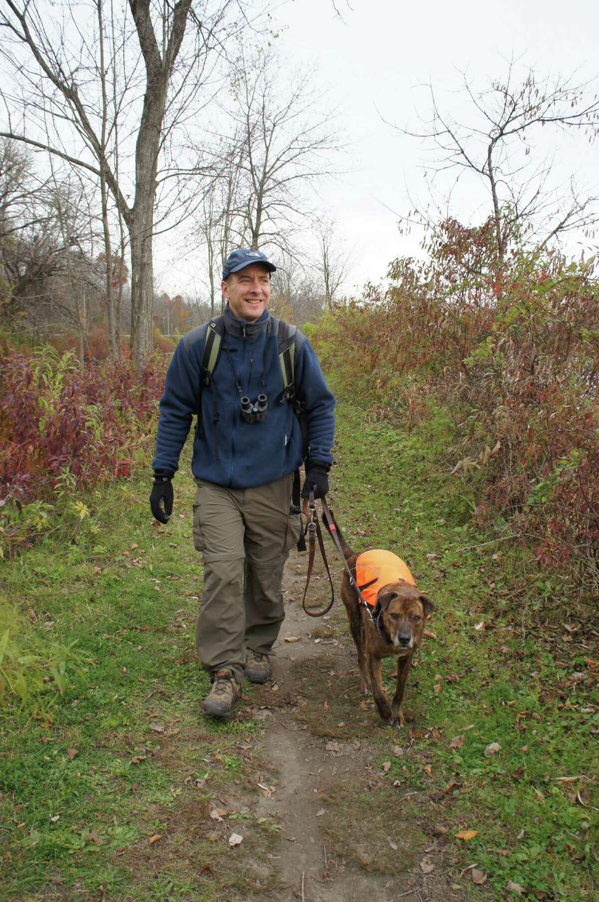 When unleashed, canine lightning may strike fast