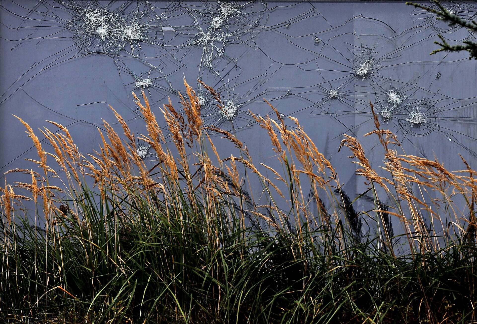 Scratch that: 11 itchy things to know about chiggers