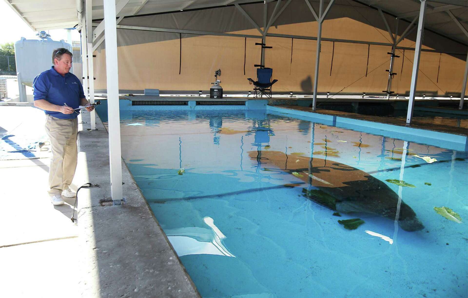 Rescued manatee slowly recovers at SeaWorld San Antonio