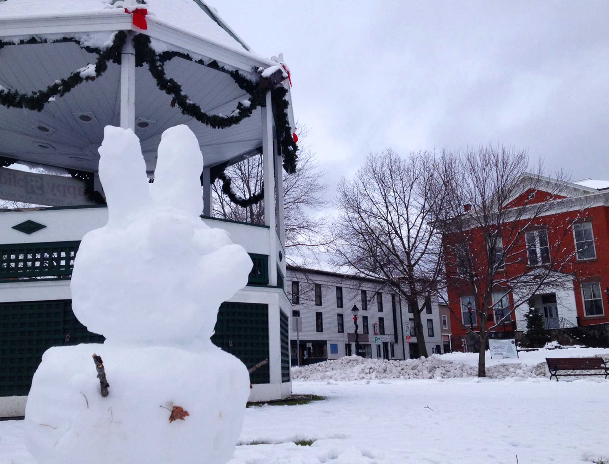 Thanksgiving 'bunny' comes and goes in a hurry