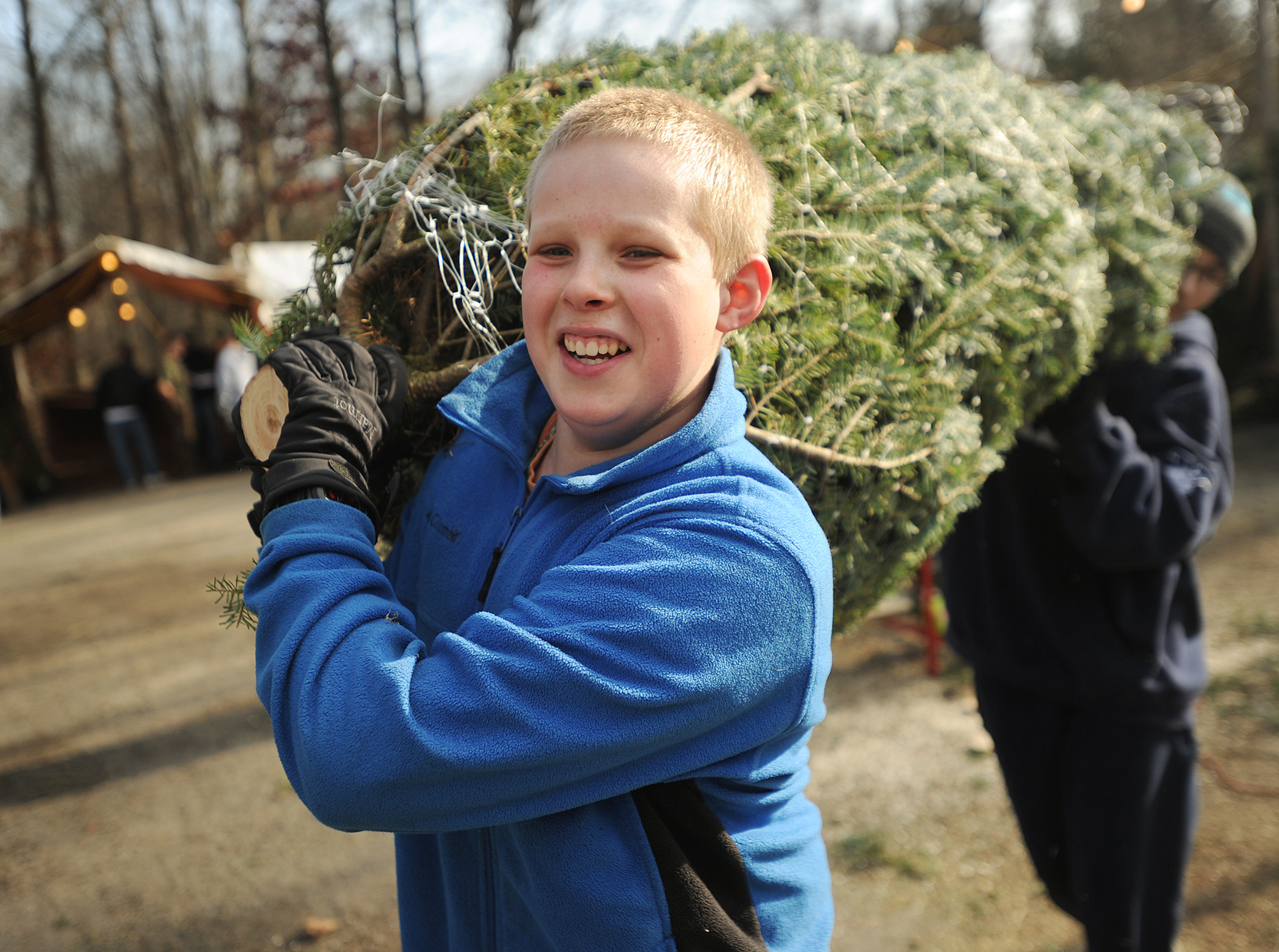 Boy Scouts hold Christmas tree sales