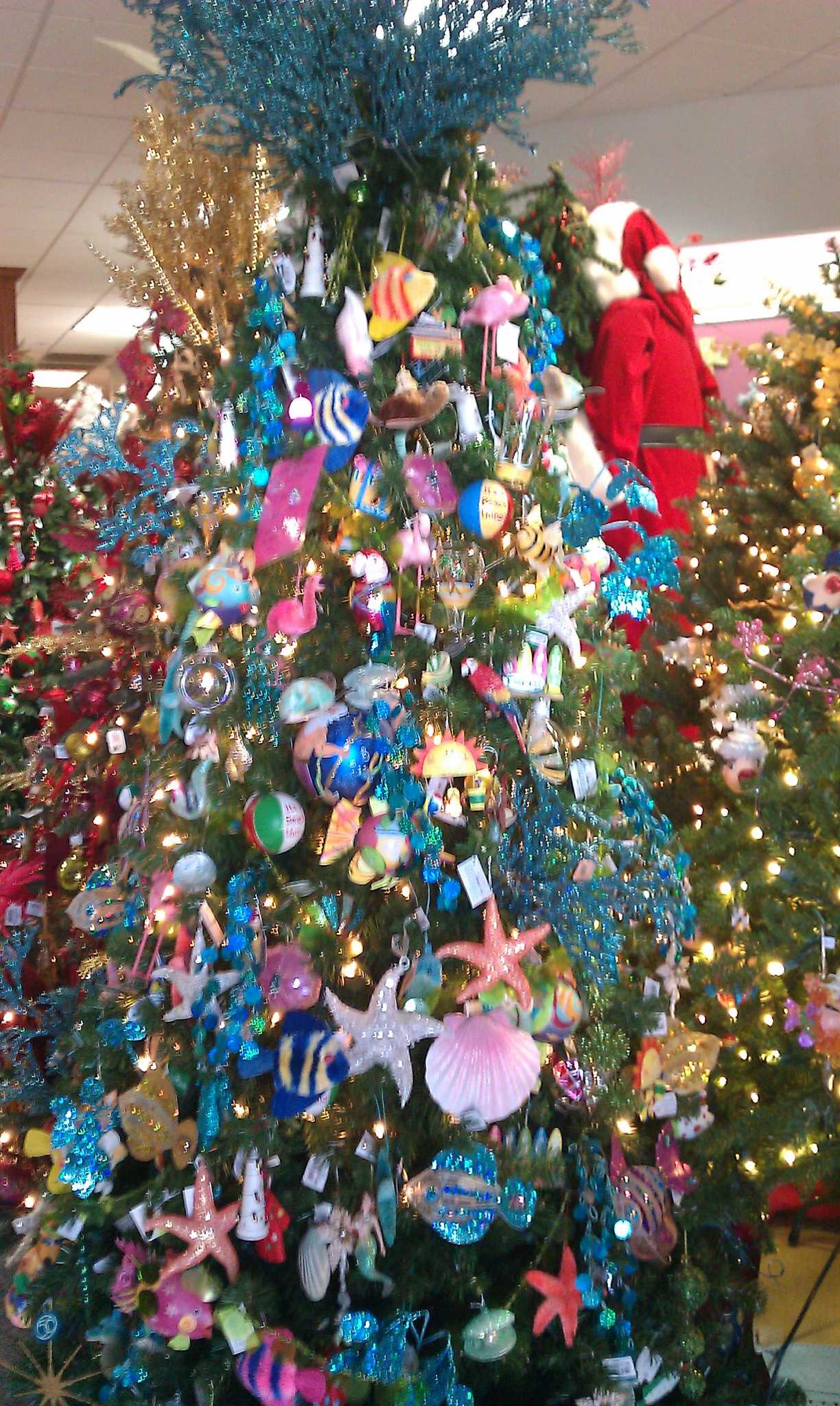 Show us your Christmas trees!