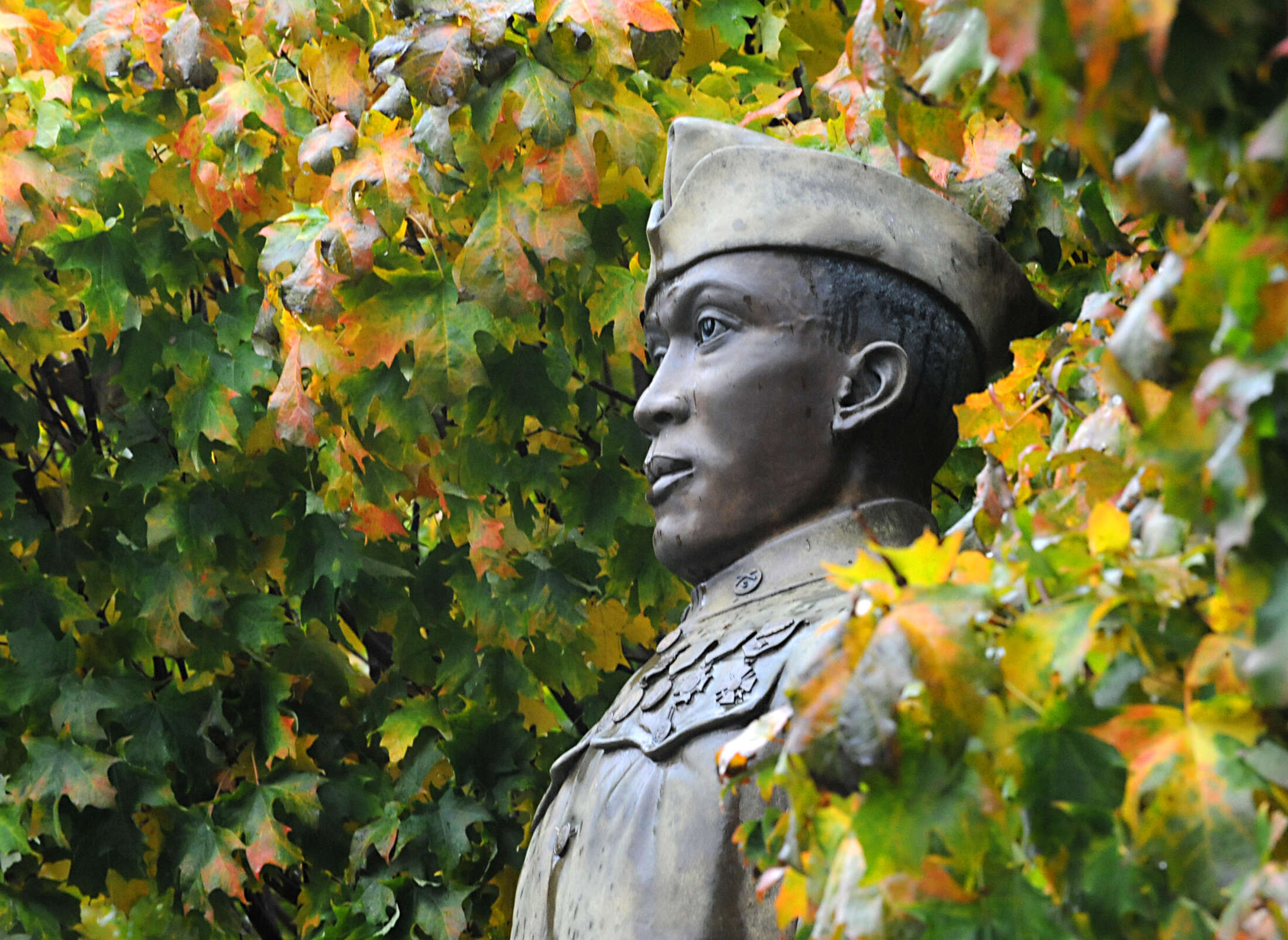 WWI hero Henry Johnson of Albany on verge of Medal of Honor